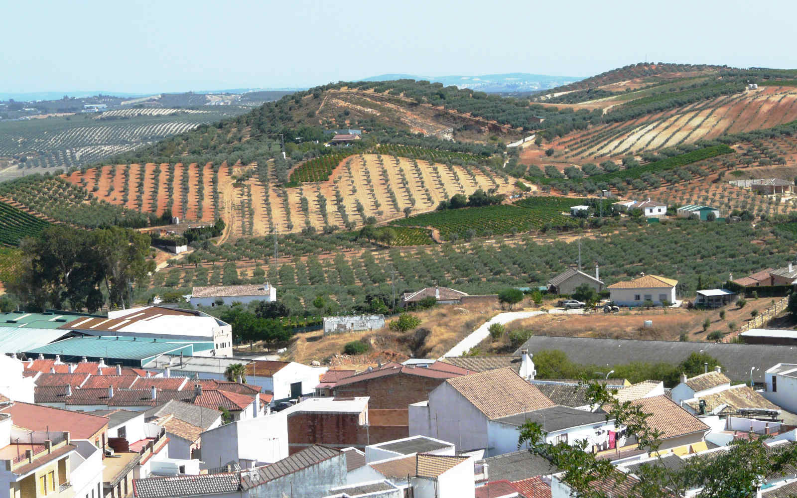 Visit Andalusia, Spain. Montilla Moriles - GoodProducer
