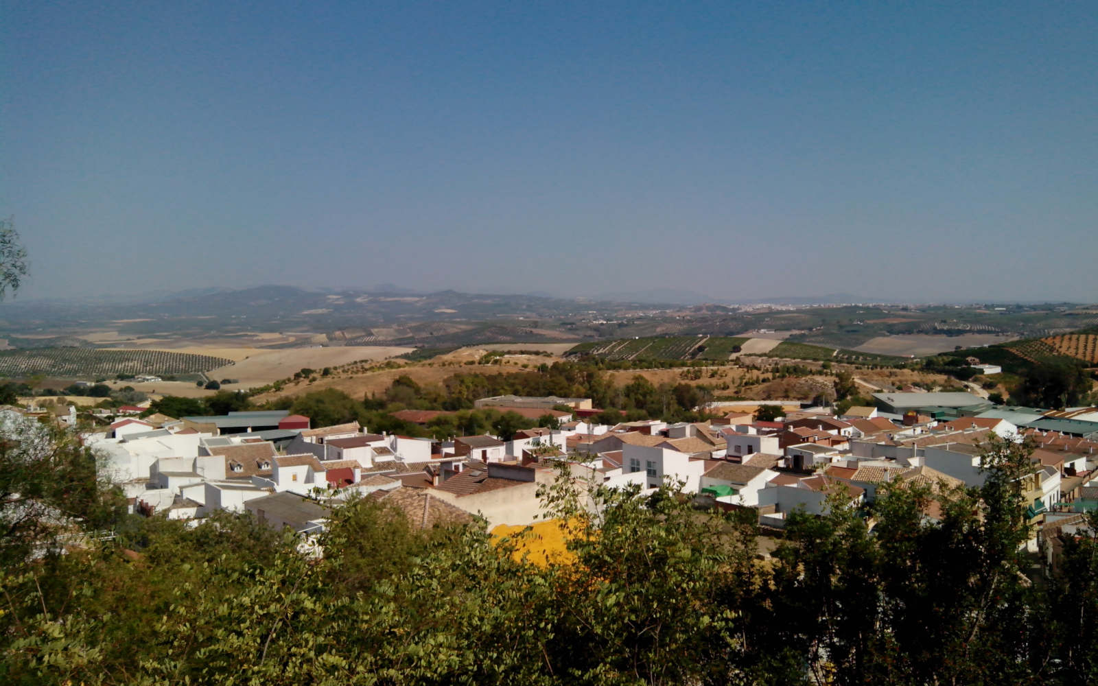 Visit Andalusia, Spain. Montilla Moriles - GoodProducer